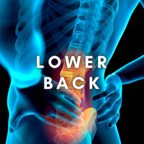 Lower Back – BODY SMART